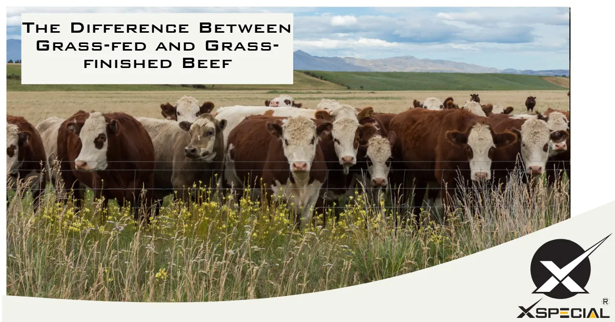 Understanding the Difference Between Grass-fed and Grass-finished Beef